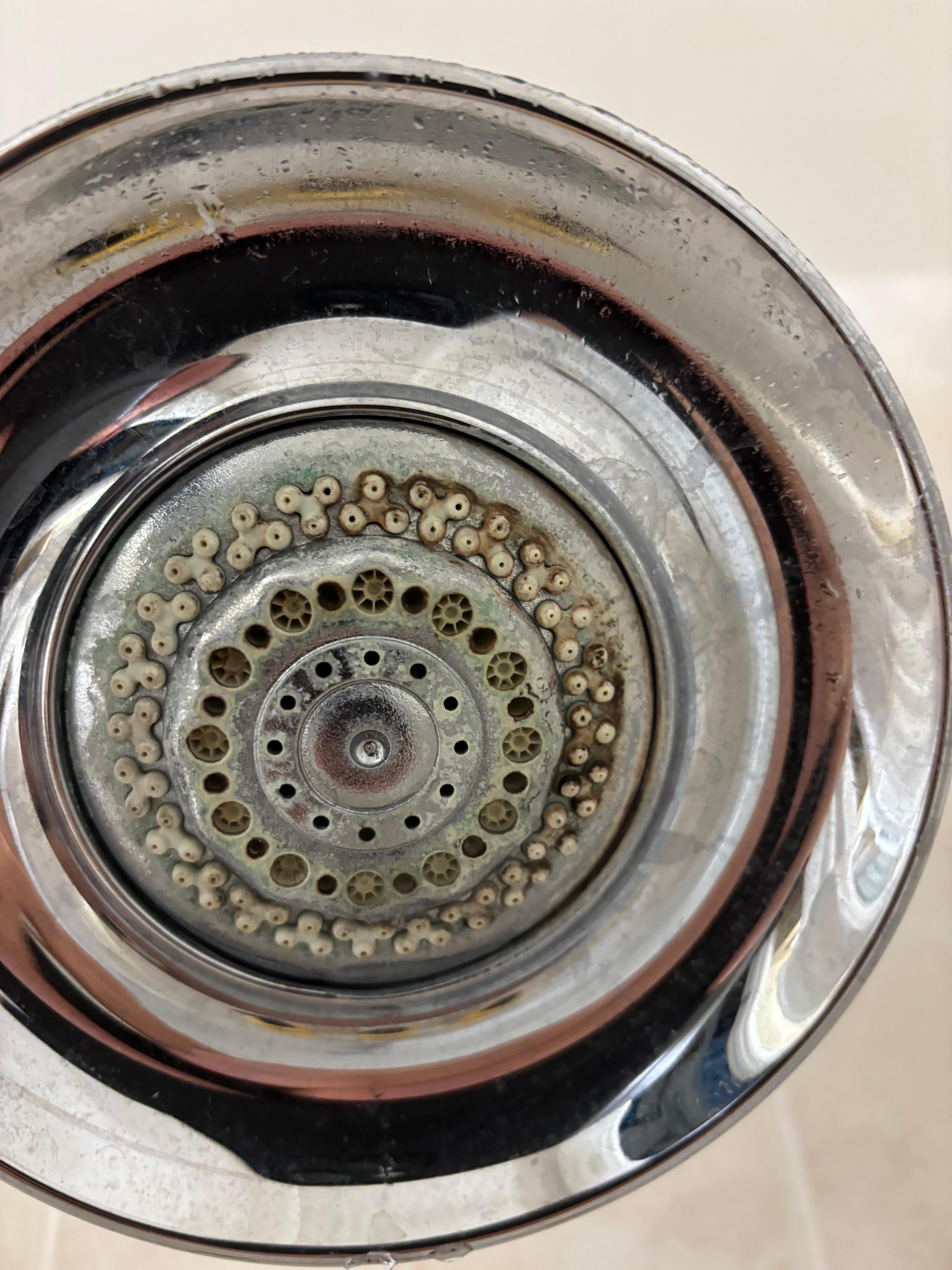 This is the dirty, moldy shower head. Disgusting! 