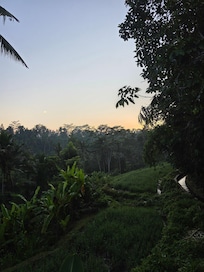 The view every morning!