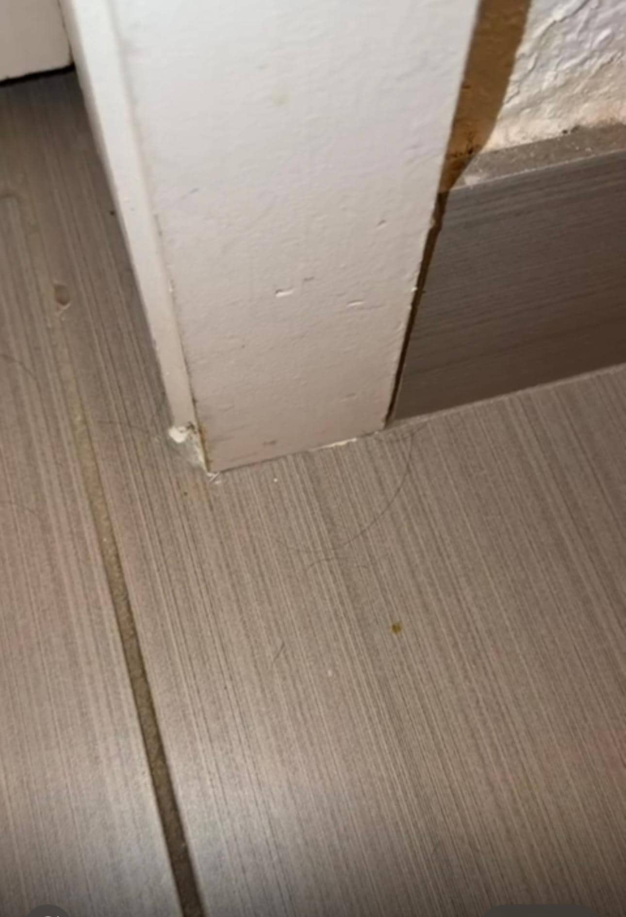 Hair in the bathroom 