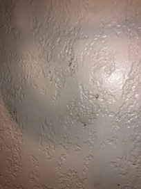 You can see the four fingers that touched the wall with feces on them.