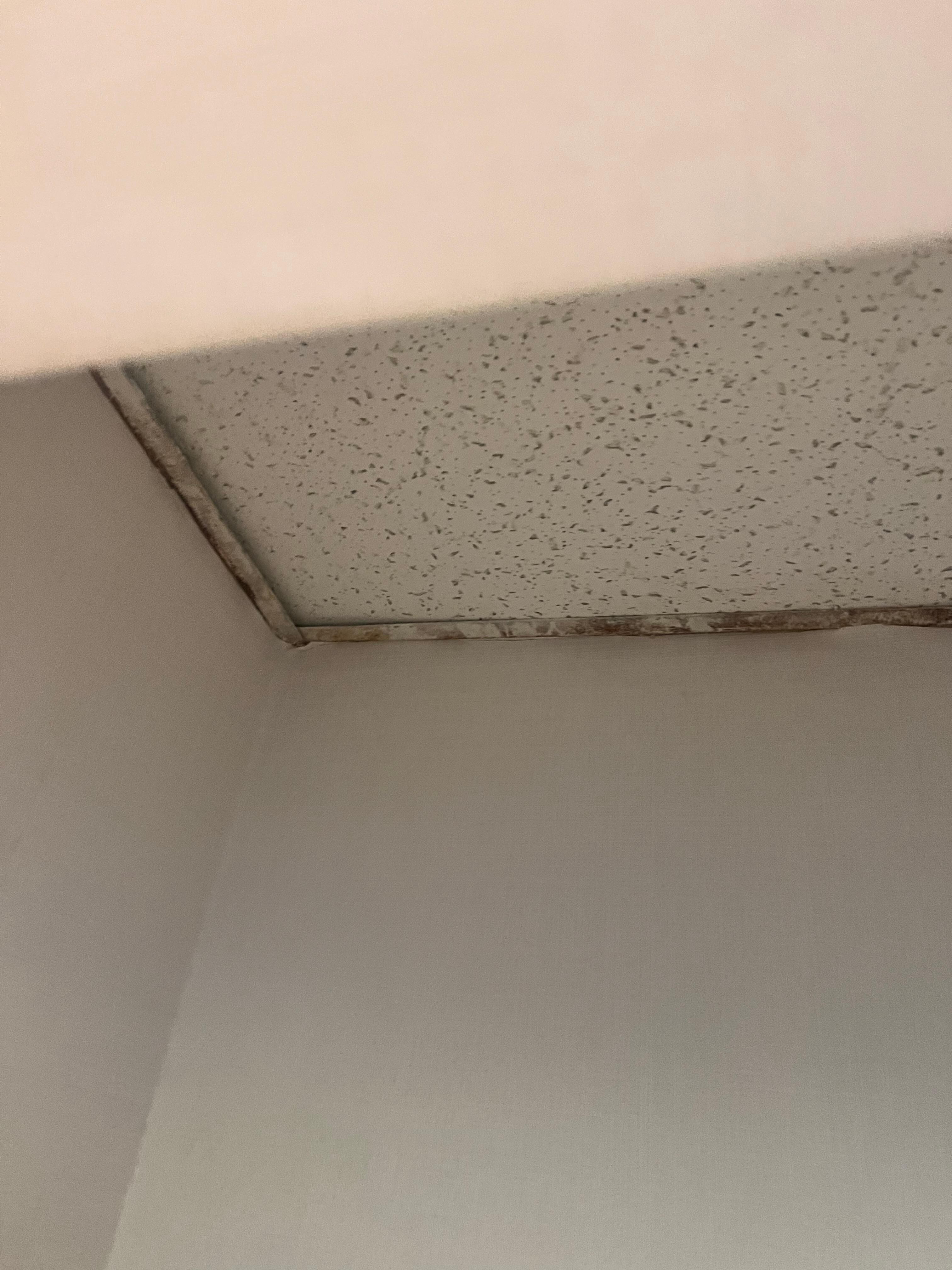 Ceiling in closet