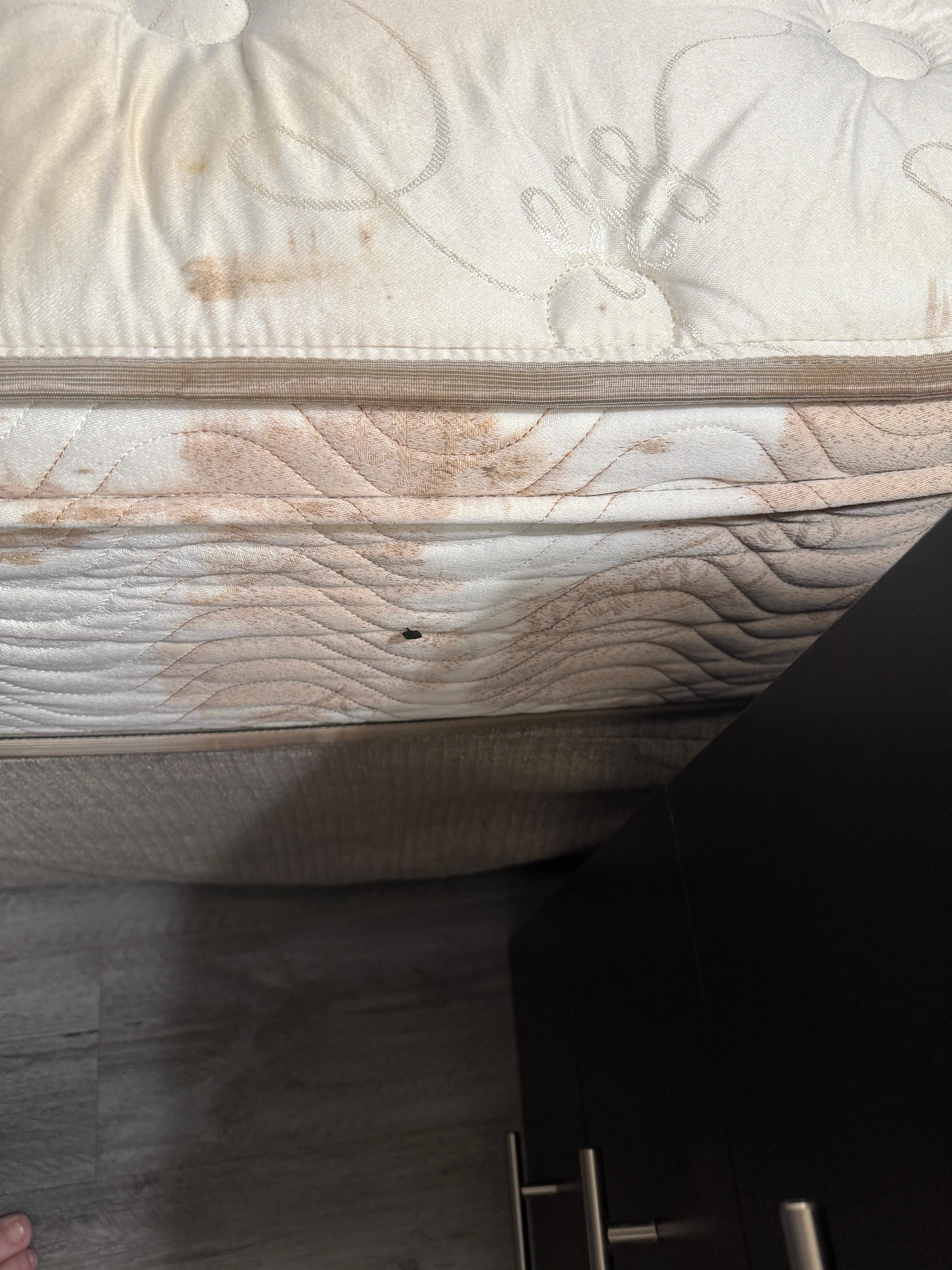 Someone barfed down the side of the bed