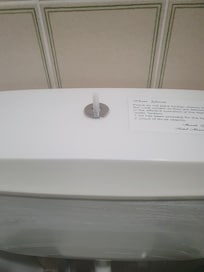 Missing flush button