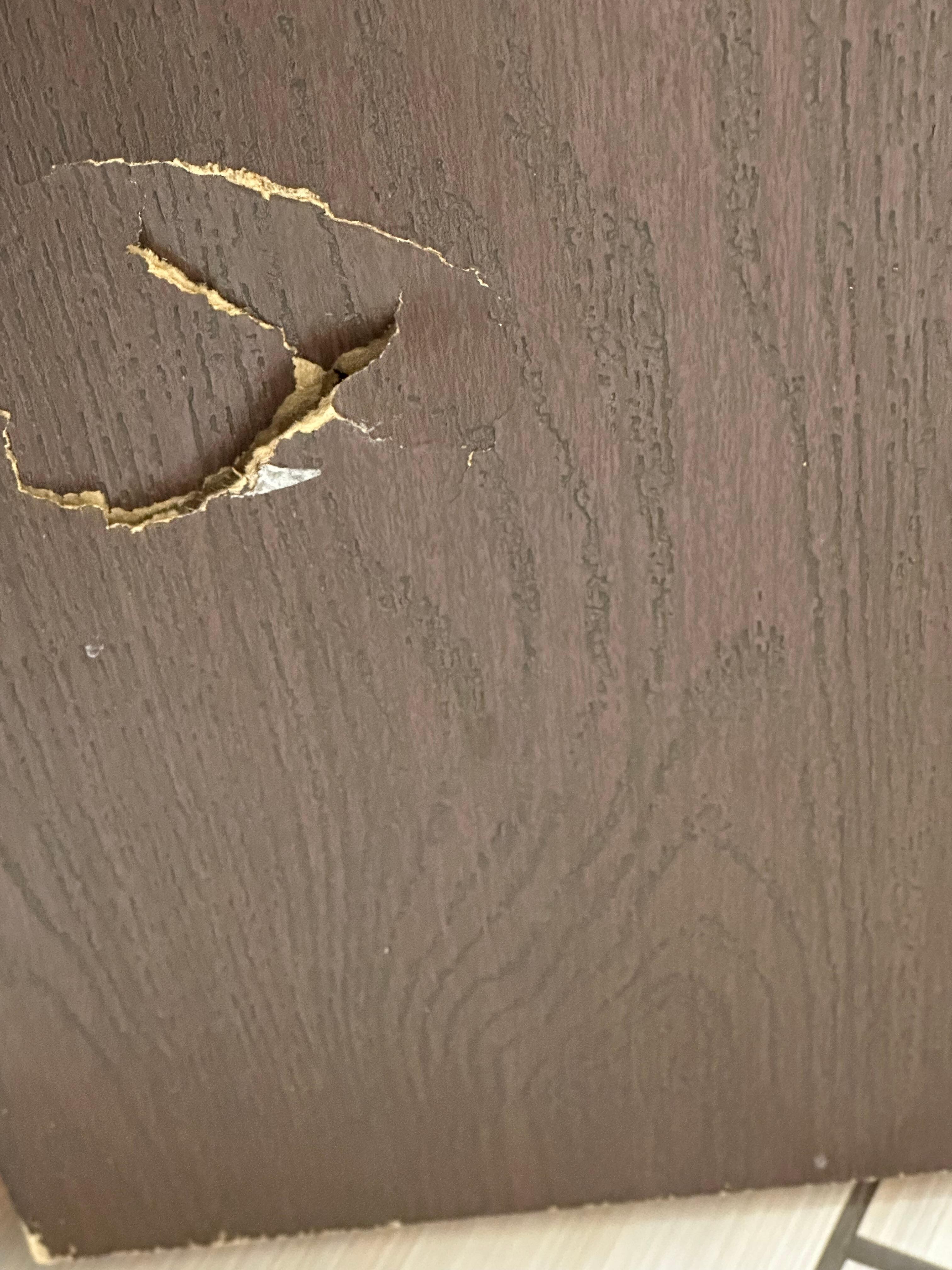 Hole kicked in back of bathroom door.