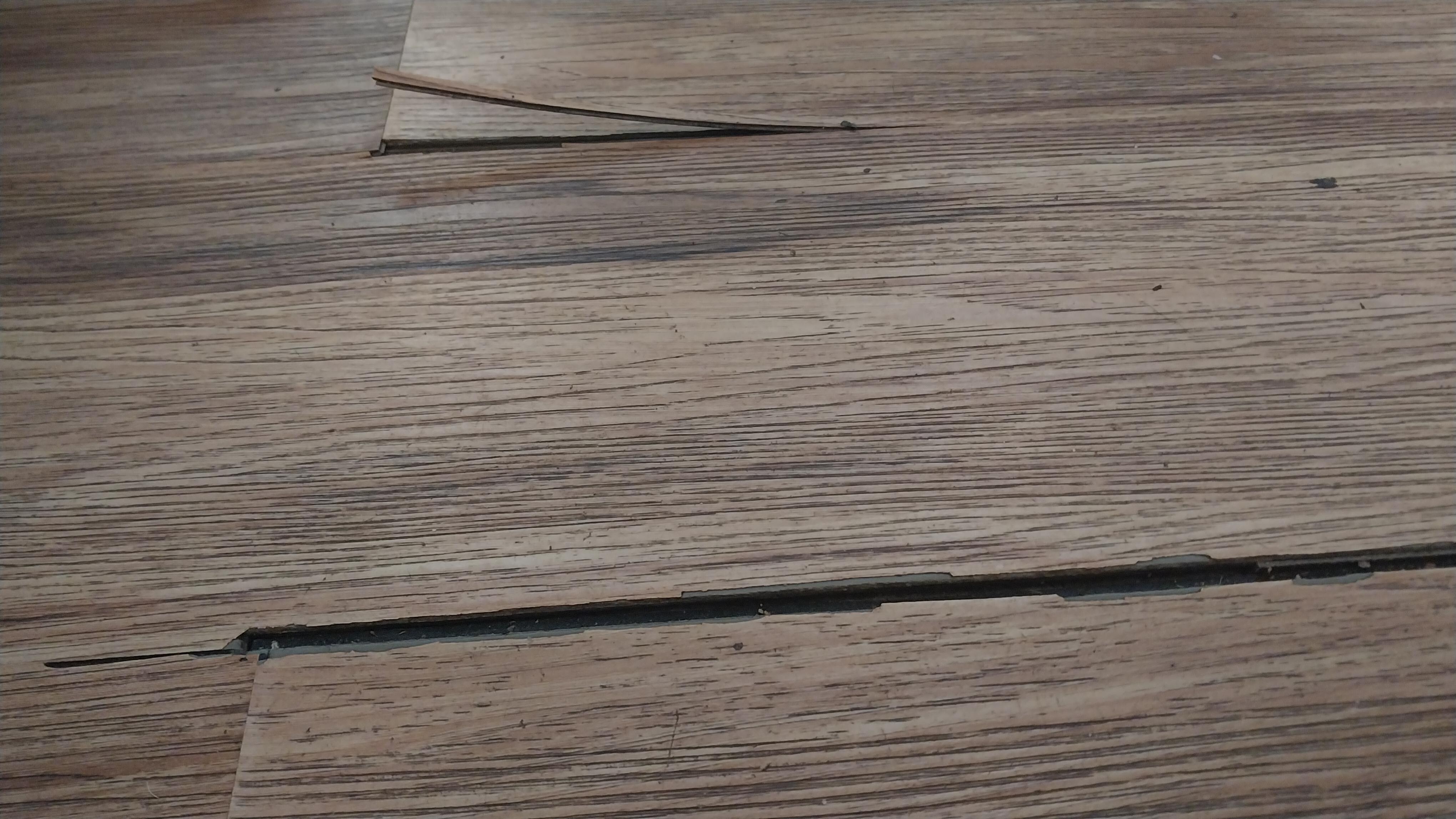 Floor in room