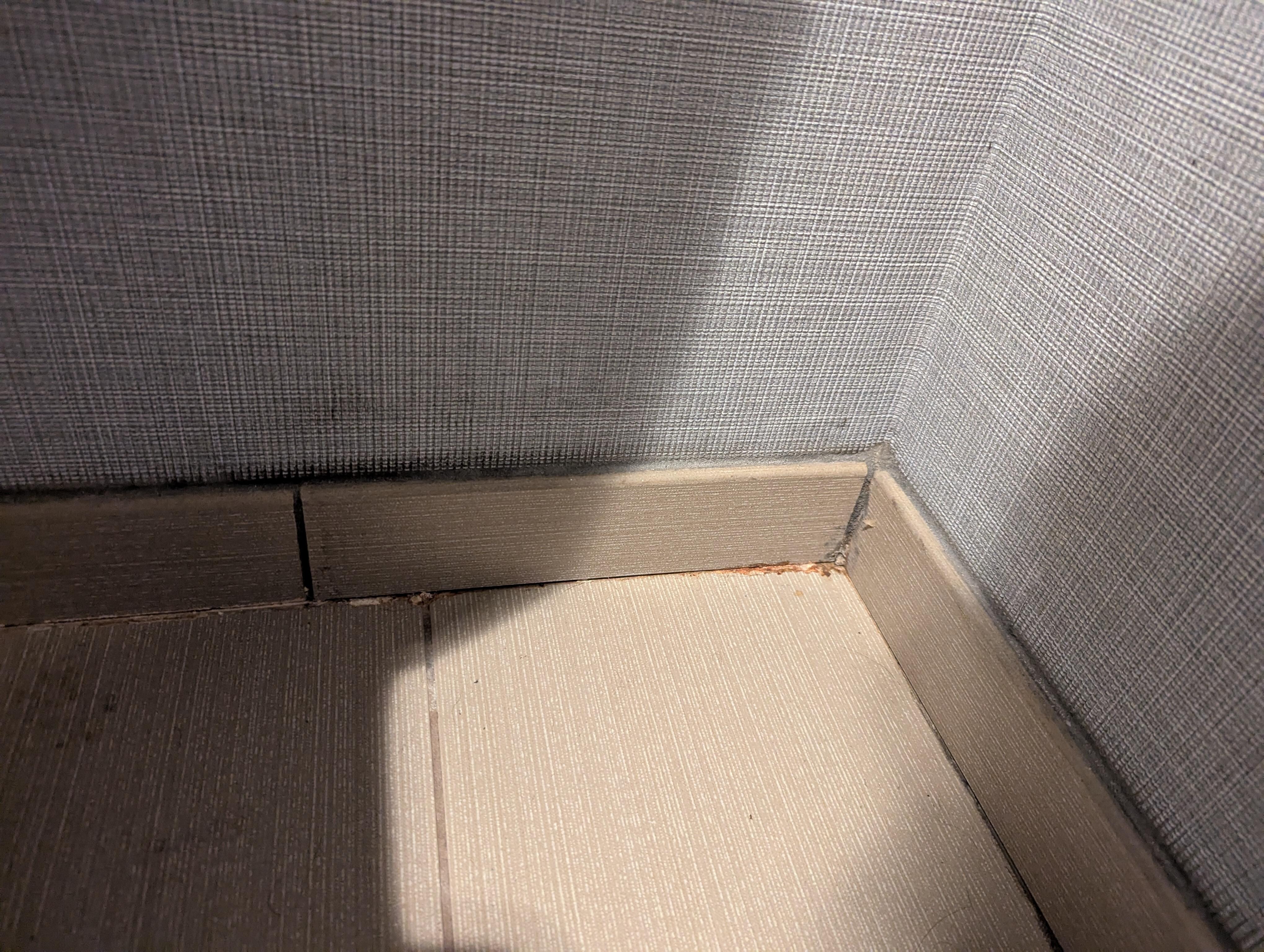 Dried gunk/dirt/grossness in corner of bathroom. 