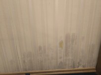 Schimmel op de muur