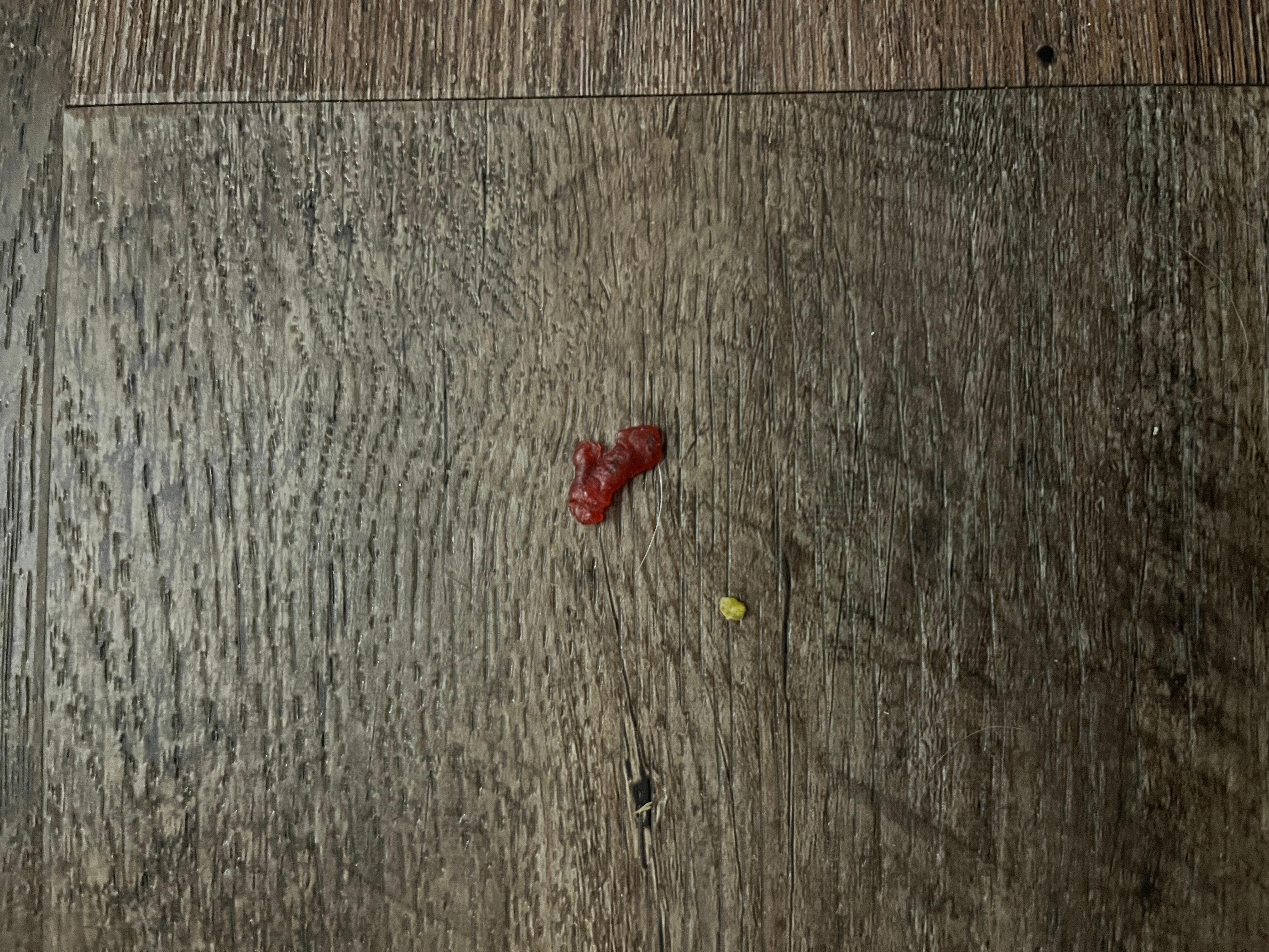Tomato sauce or candy? Stuck to floor.