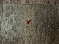 Tomato sauce or candy? Stuck to floor.