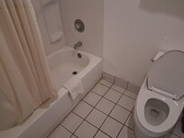 Rundown bathroom. Visible ring in the toilet.