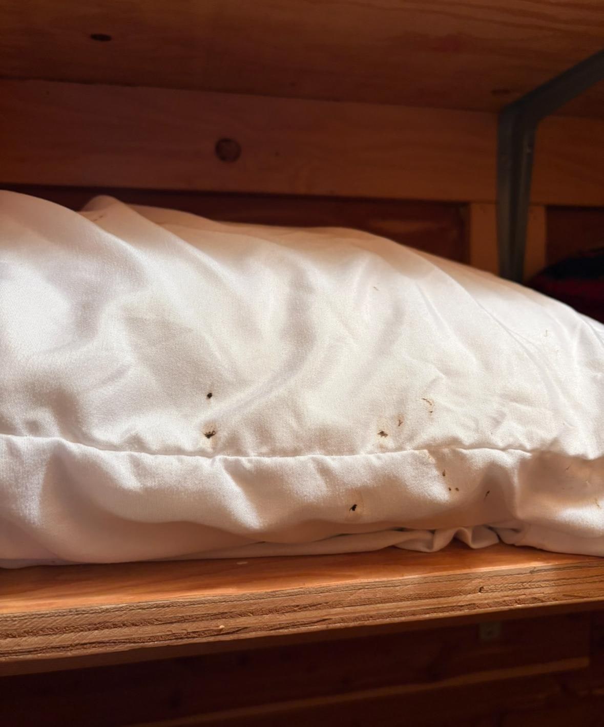 Mouse droppings… or something gross on the spare pillows in the cupboard