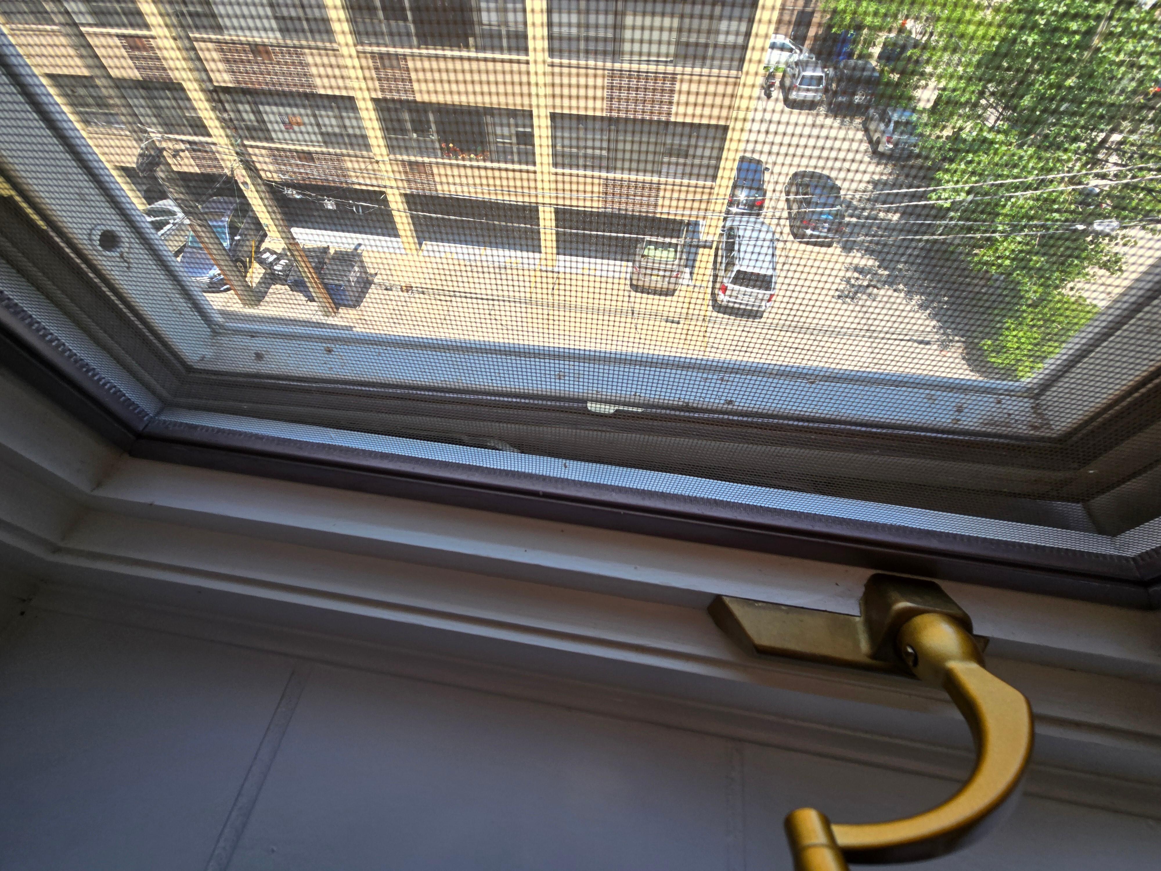 Another window that also had clumps of dust and mold?