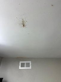 Nasty liquid stain on the ceiling and water/mold marks near the vent