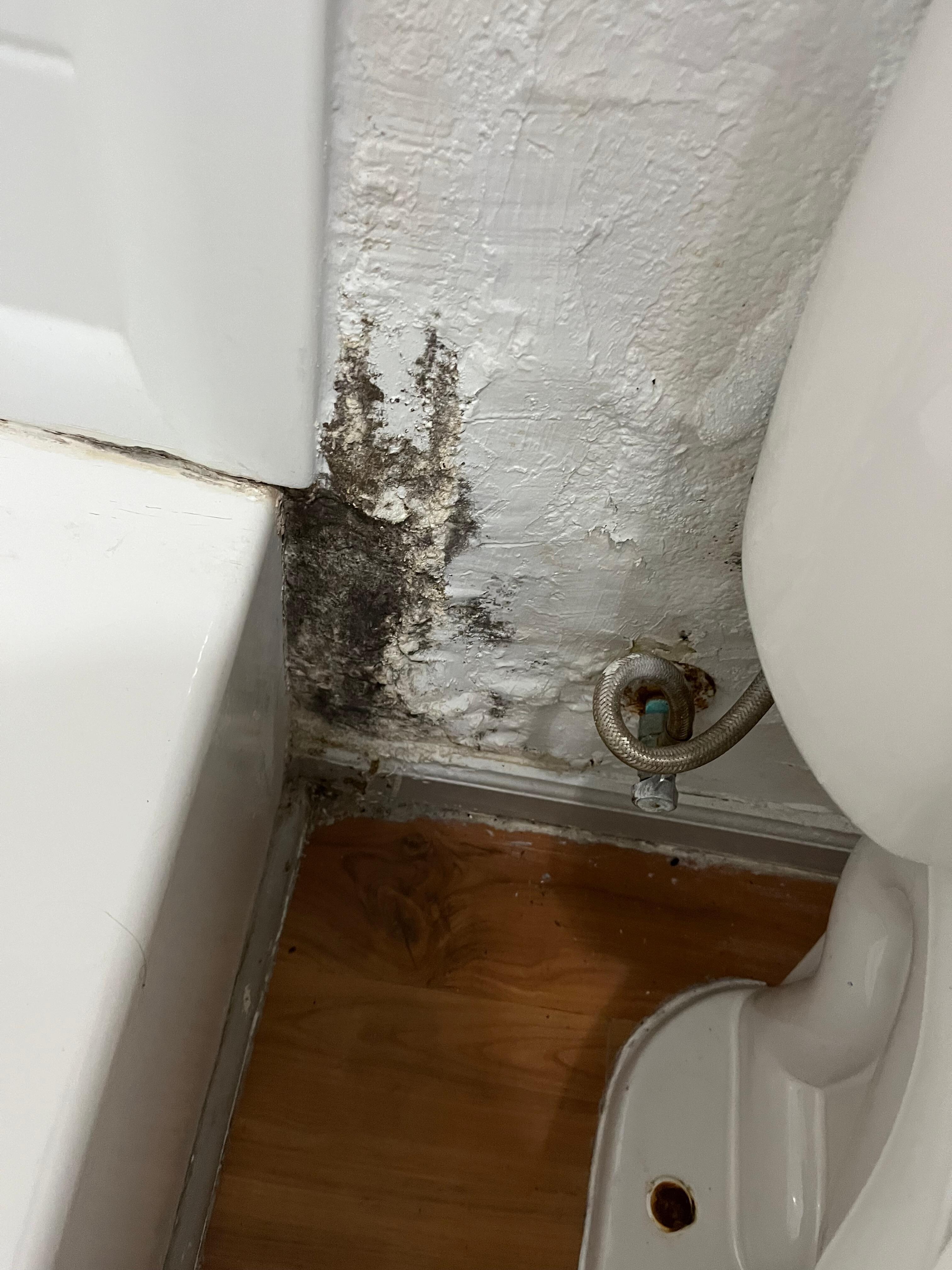 Mold in bathroom 