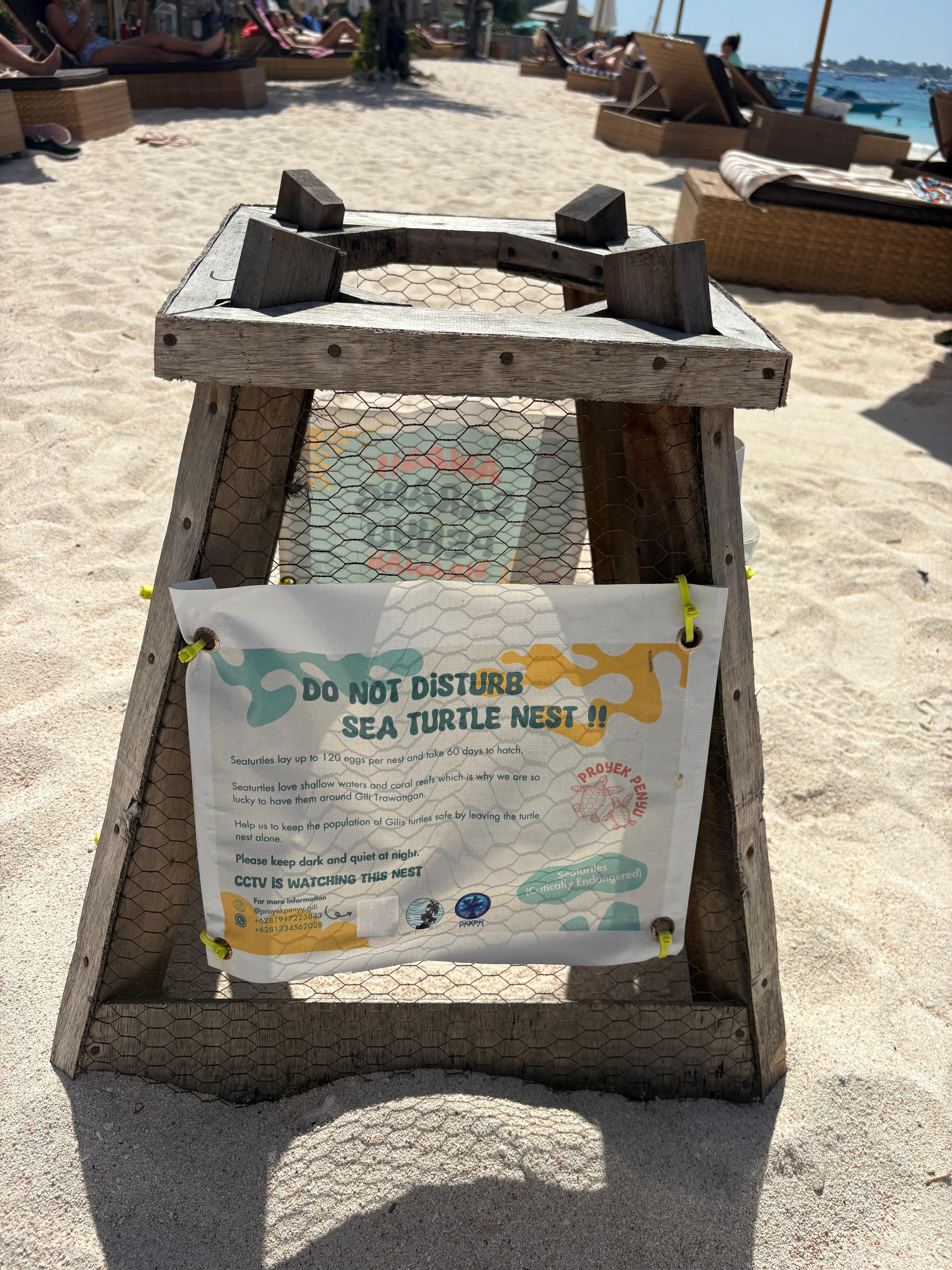 Very glad to see how serious the environment is treated. Sea turtle egg nest protection on the picture, on the beach outside the hotel.