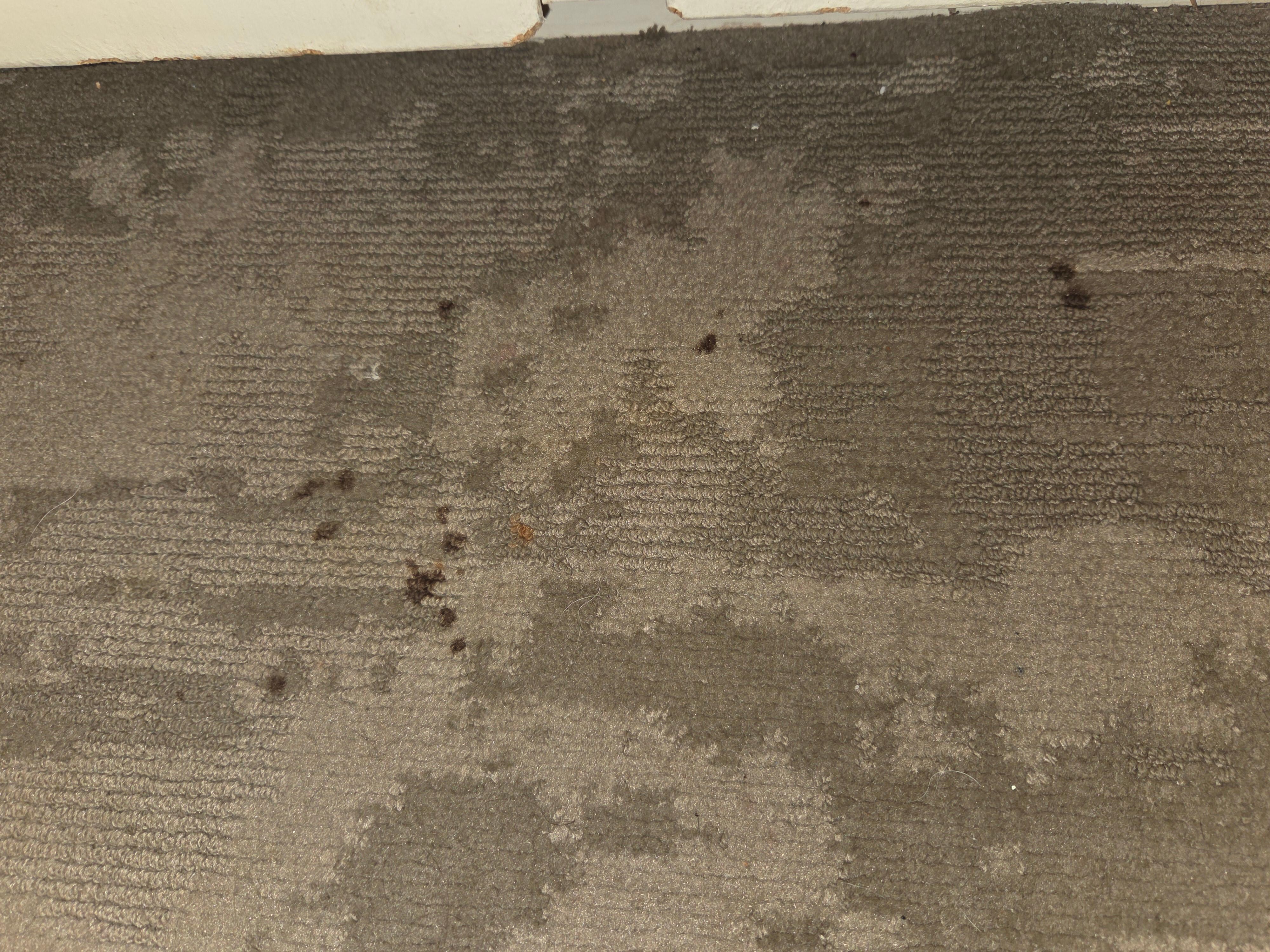 Bloodstain