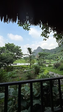 View from the decking of the room