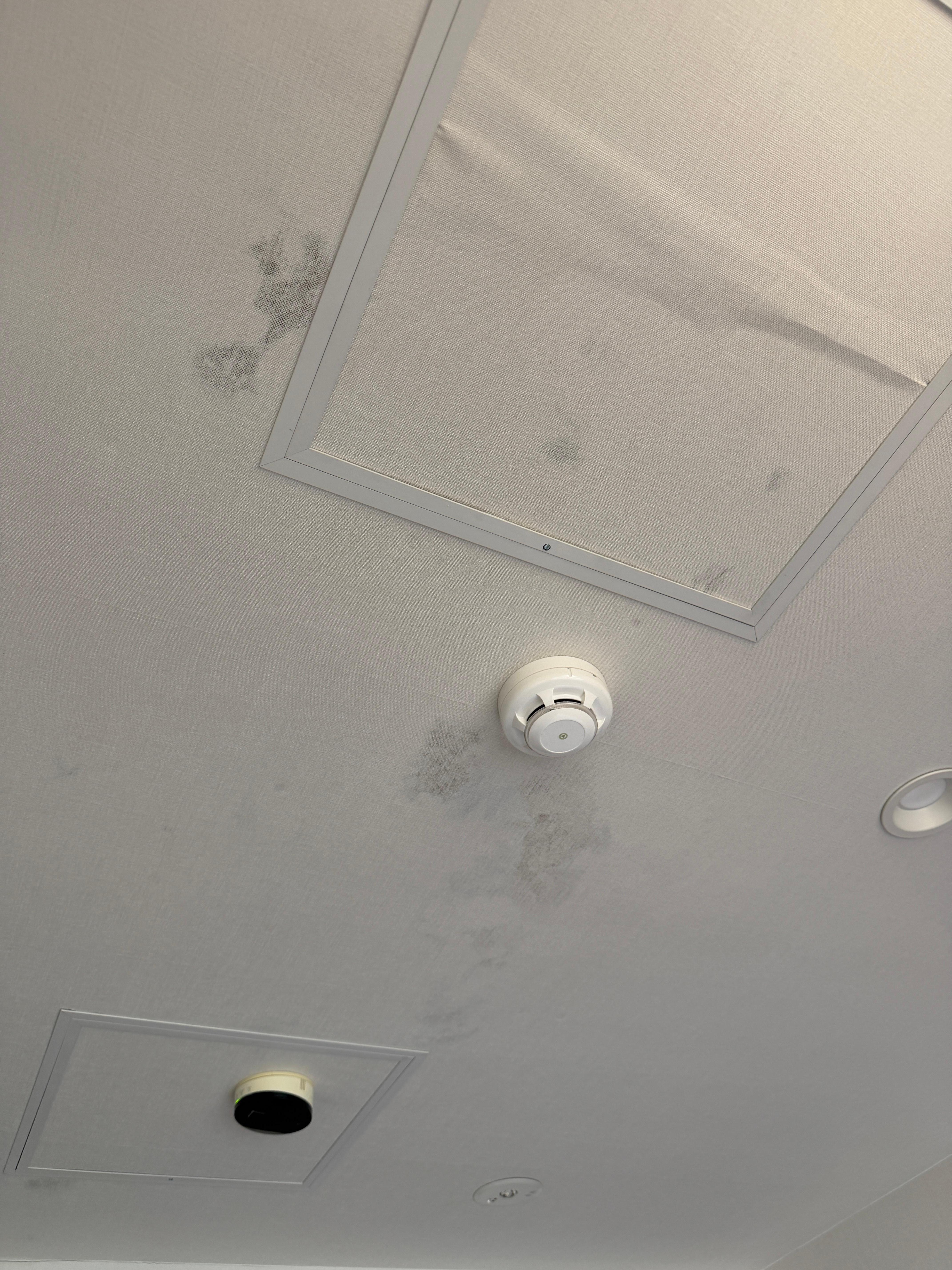 Water damage and mold growth all over the ceiling