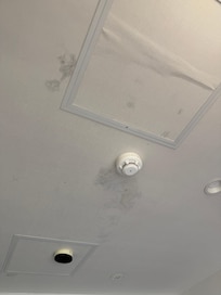 Water damage and mold growth all over the ceiling