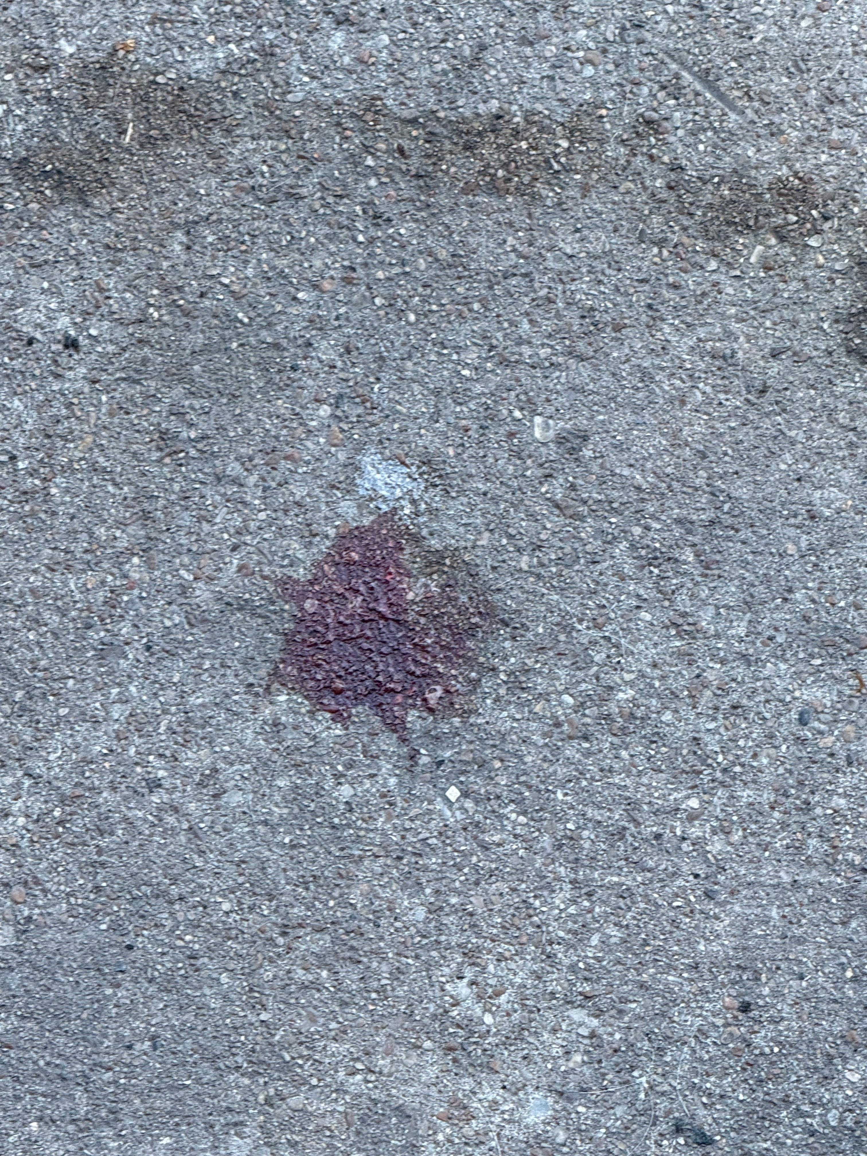 Blood on sidewalk 