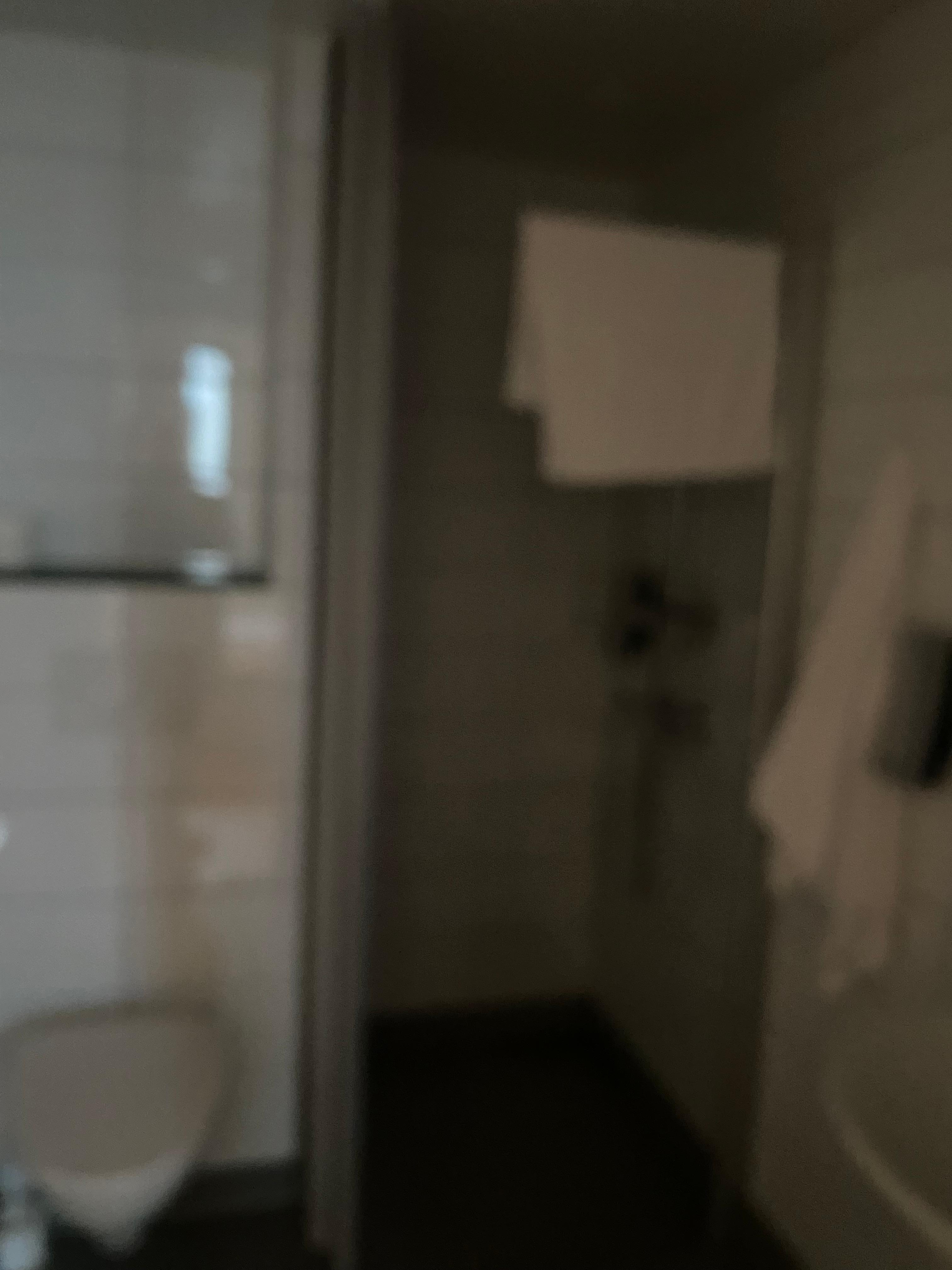 Bathroom a bit blurred