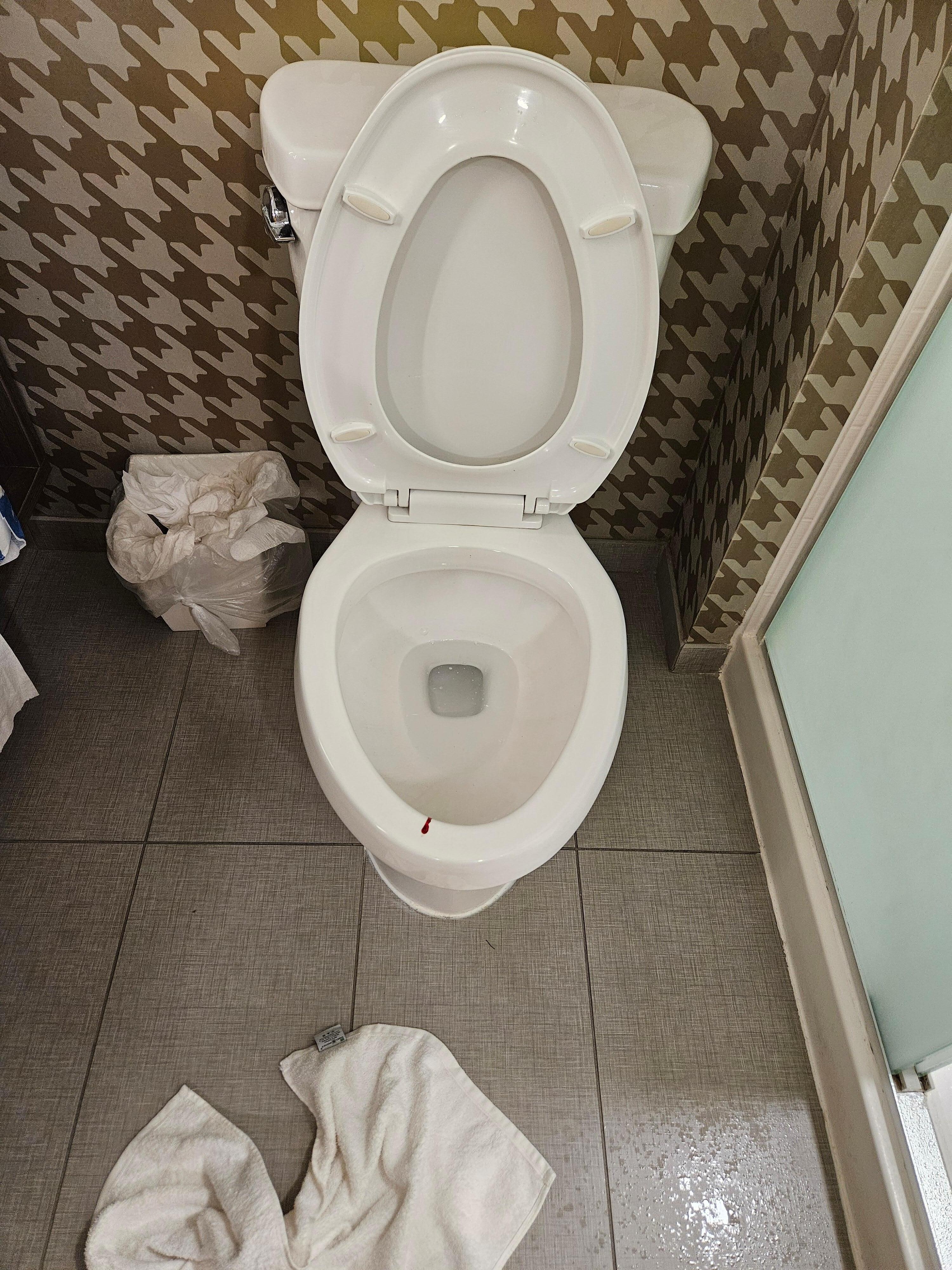 Blood on the toilet