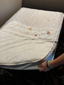 The pull out couch bed