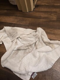 Our bedroom was filthy.This is a towel that I cleaned up the floor with in the bathroom and then the kitchen area i kept feeling my shoes stick, so I poured some water on the floor and this is the tell what it looks like