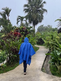 Walk to breakfast from our room on a rainy morning