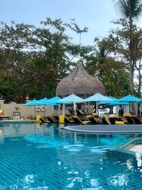 Even the small pergola had lost most of its palms