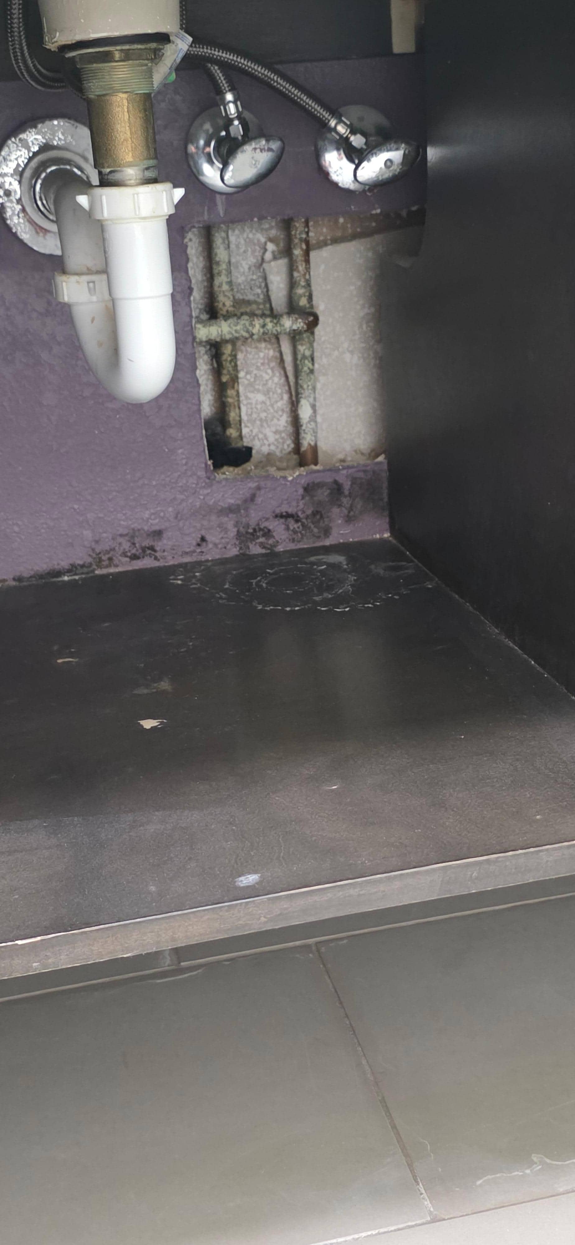 Under sink mold needs addressed 