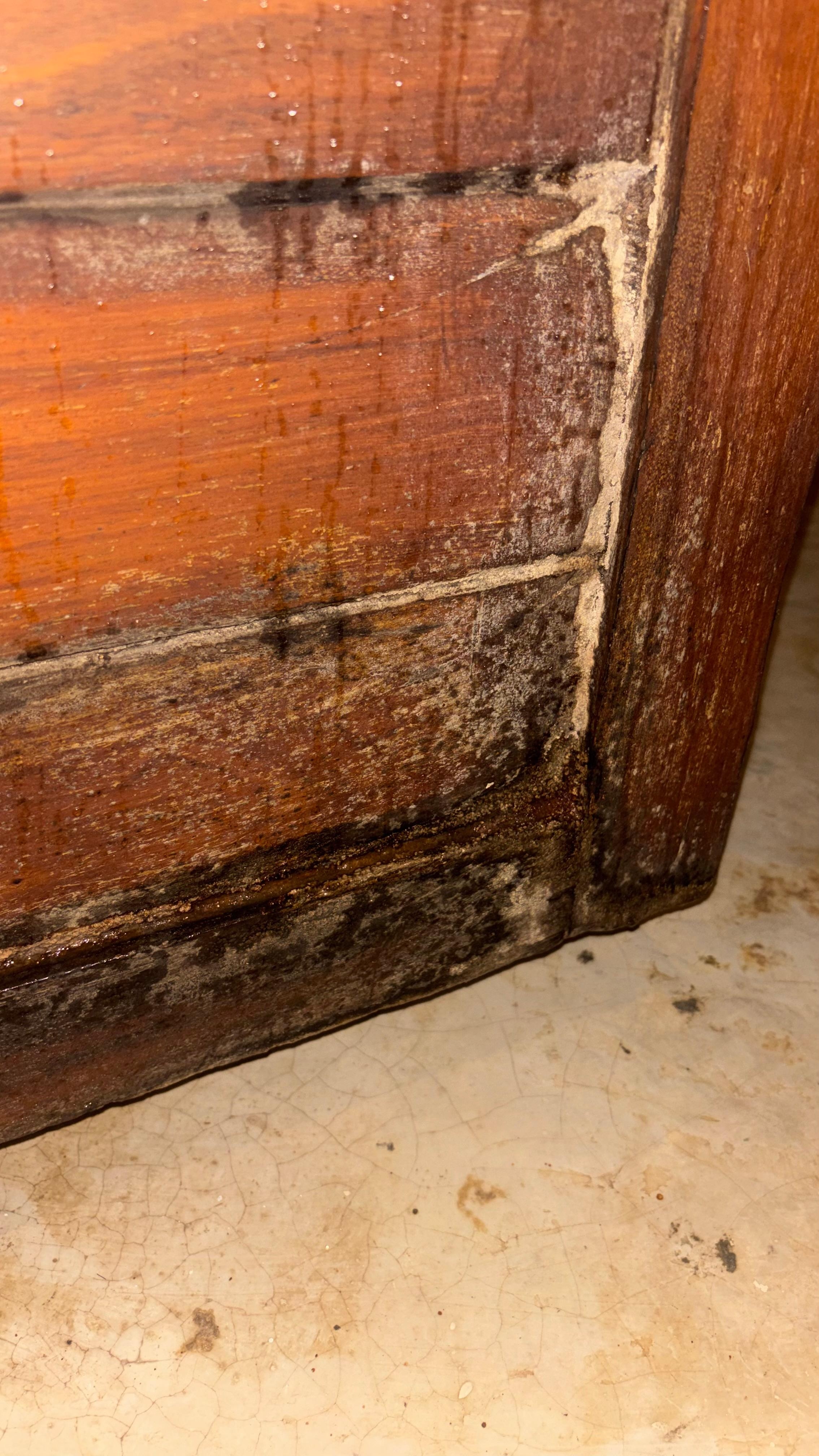 Bathroom shower door