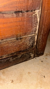 Bathroom shower door