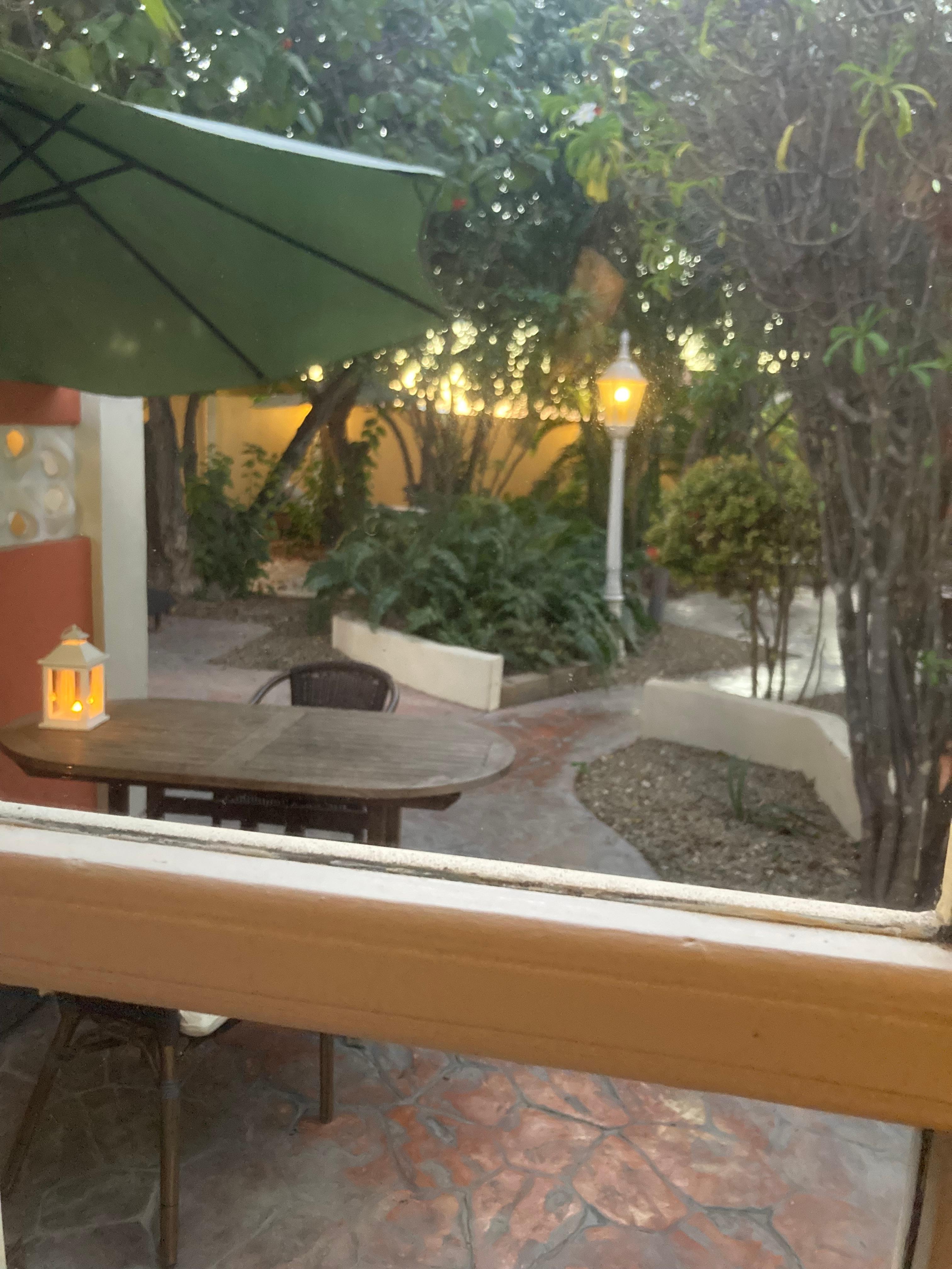 Evening view out our French doirs