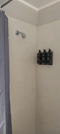 no way to adjust shower pressure, it just blasts at you. shampoo, conditioner and body wash provided