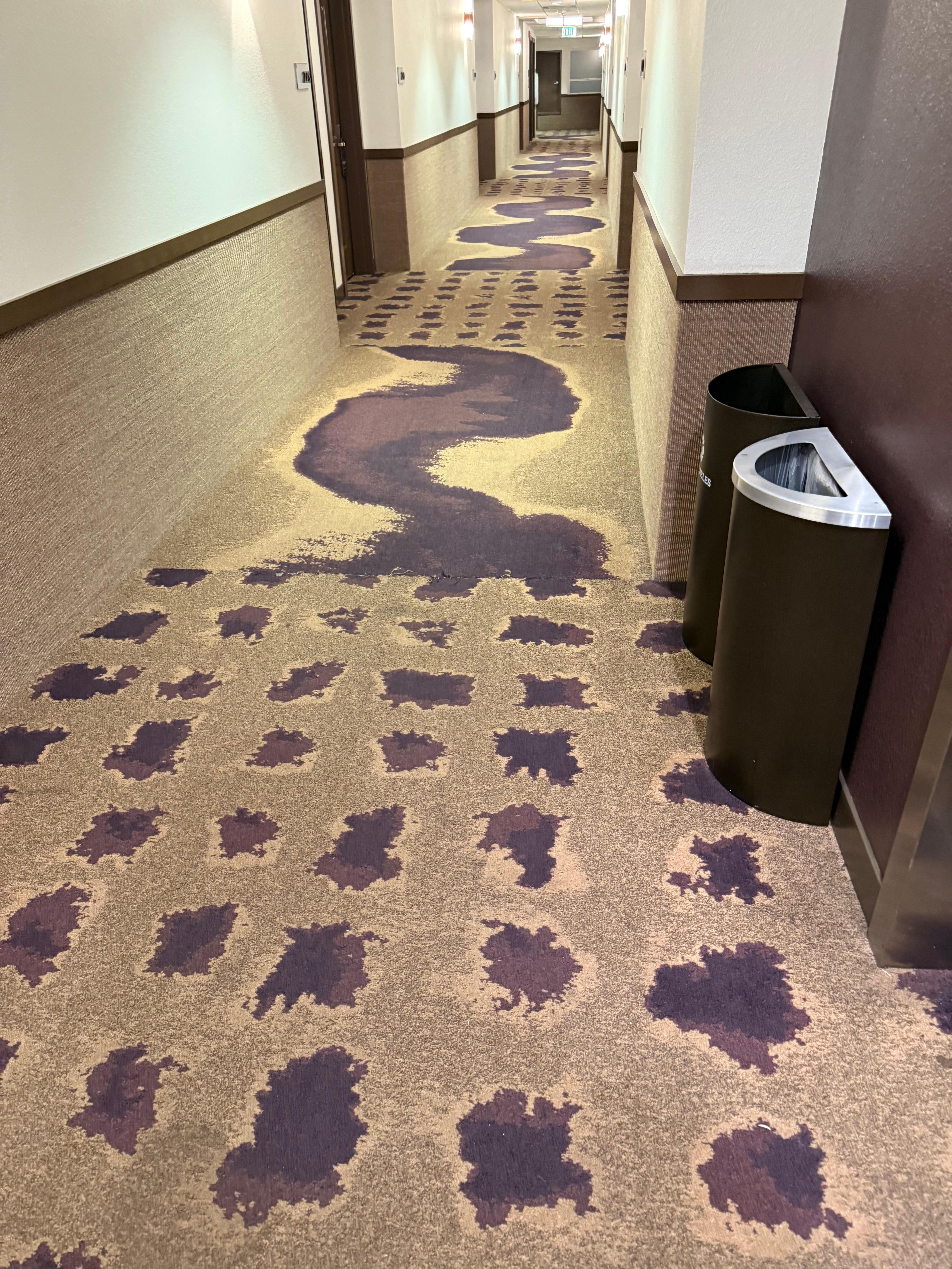 Filthy carpet throughout. 