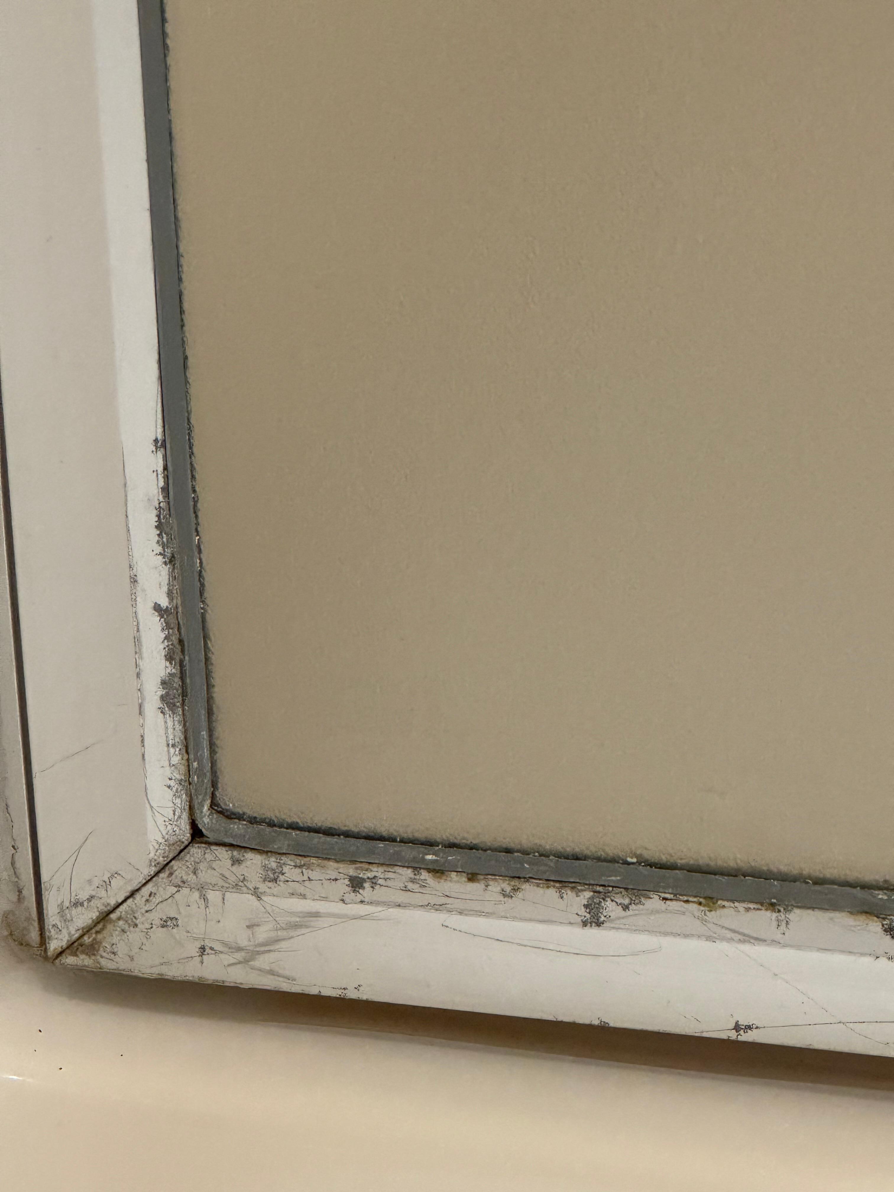 Shower door