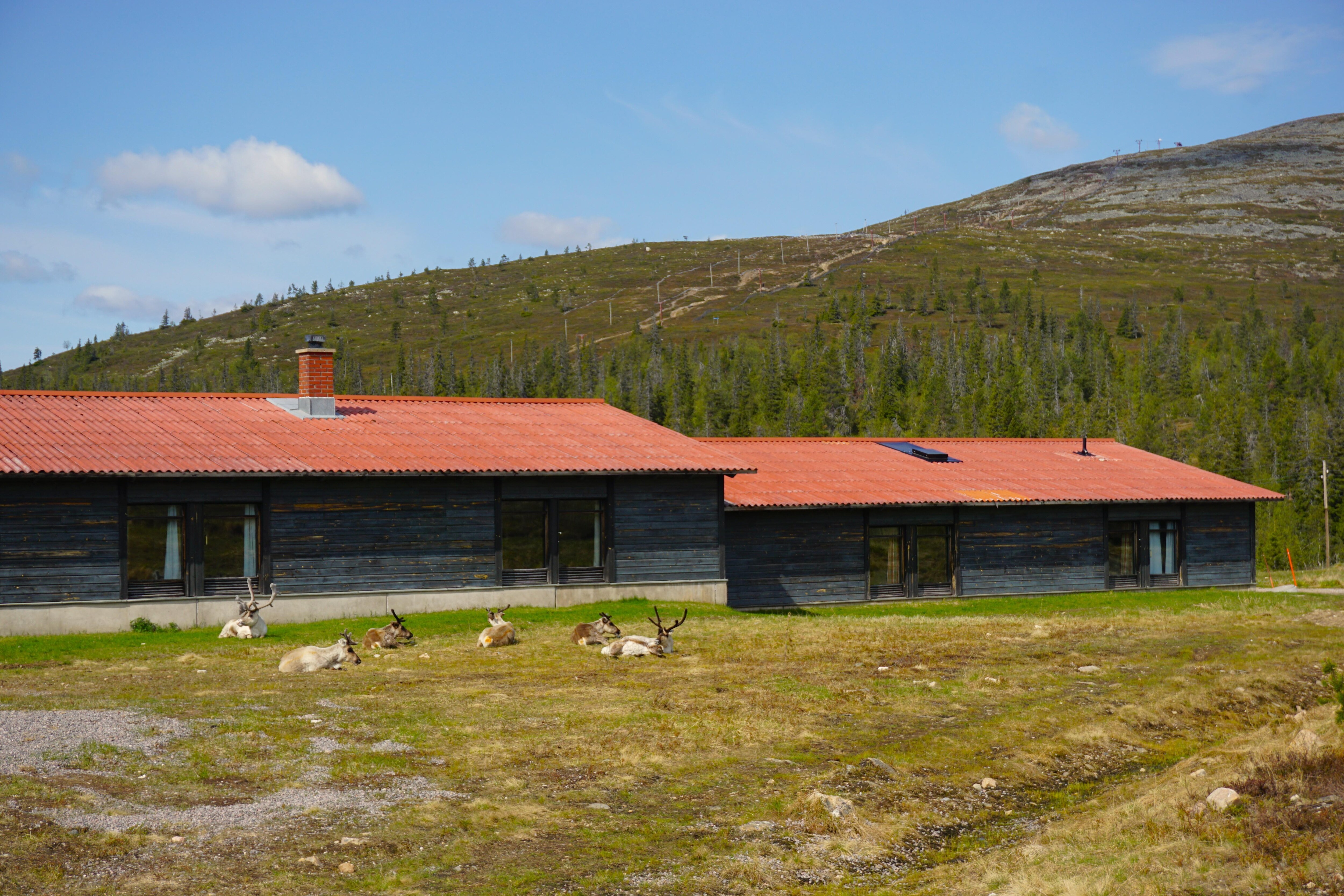 The location is beautiful next to several fells
