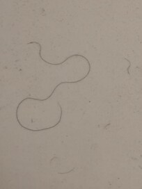 Nice dark hair in the shower.