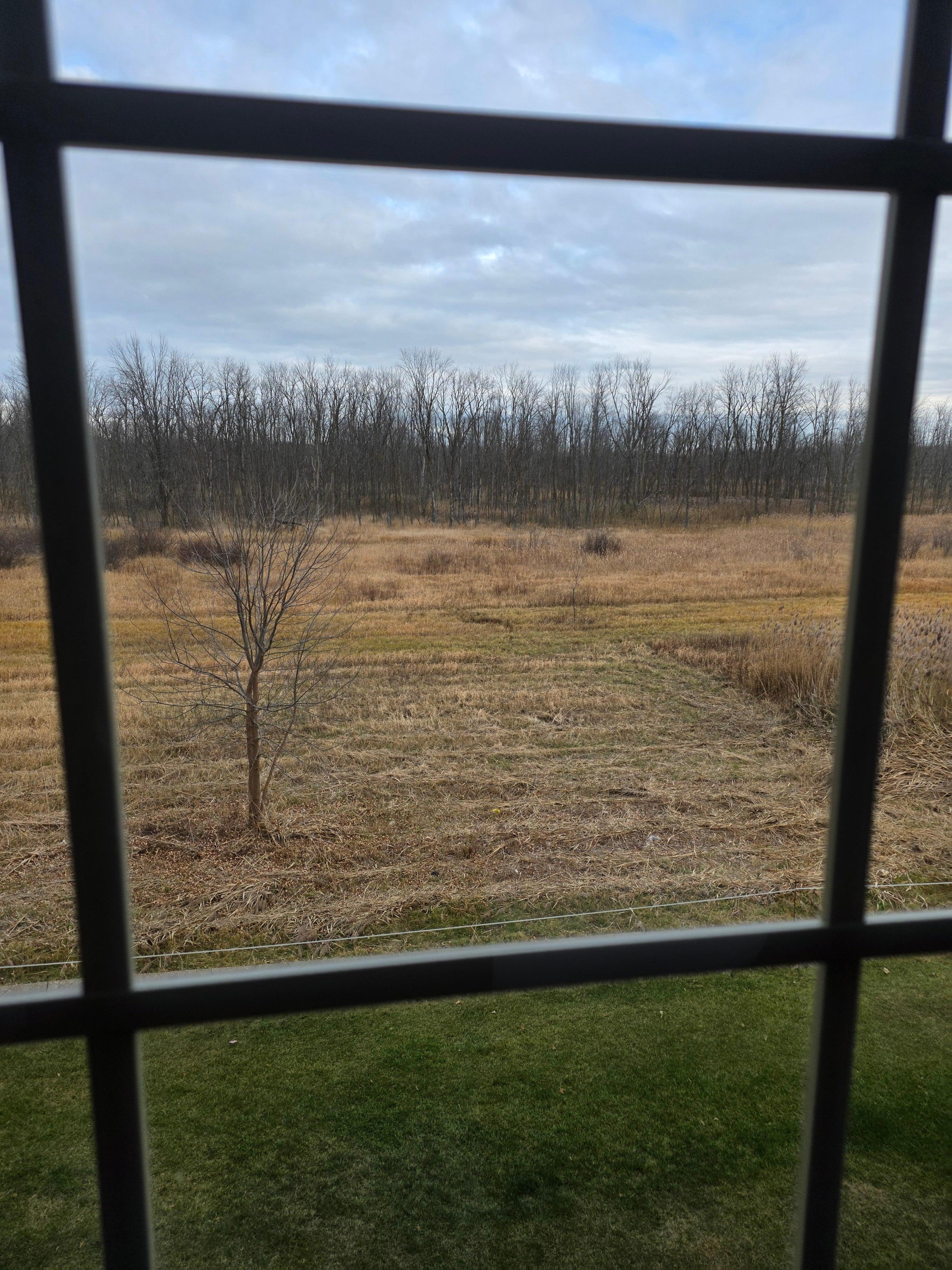 View from my room. Beats a parking lot.