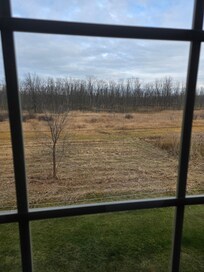 View from my room. Beats a parking lot.