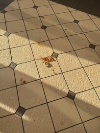 A bunch of food all over the outside of the pool.