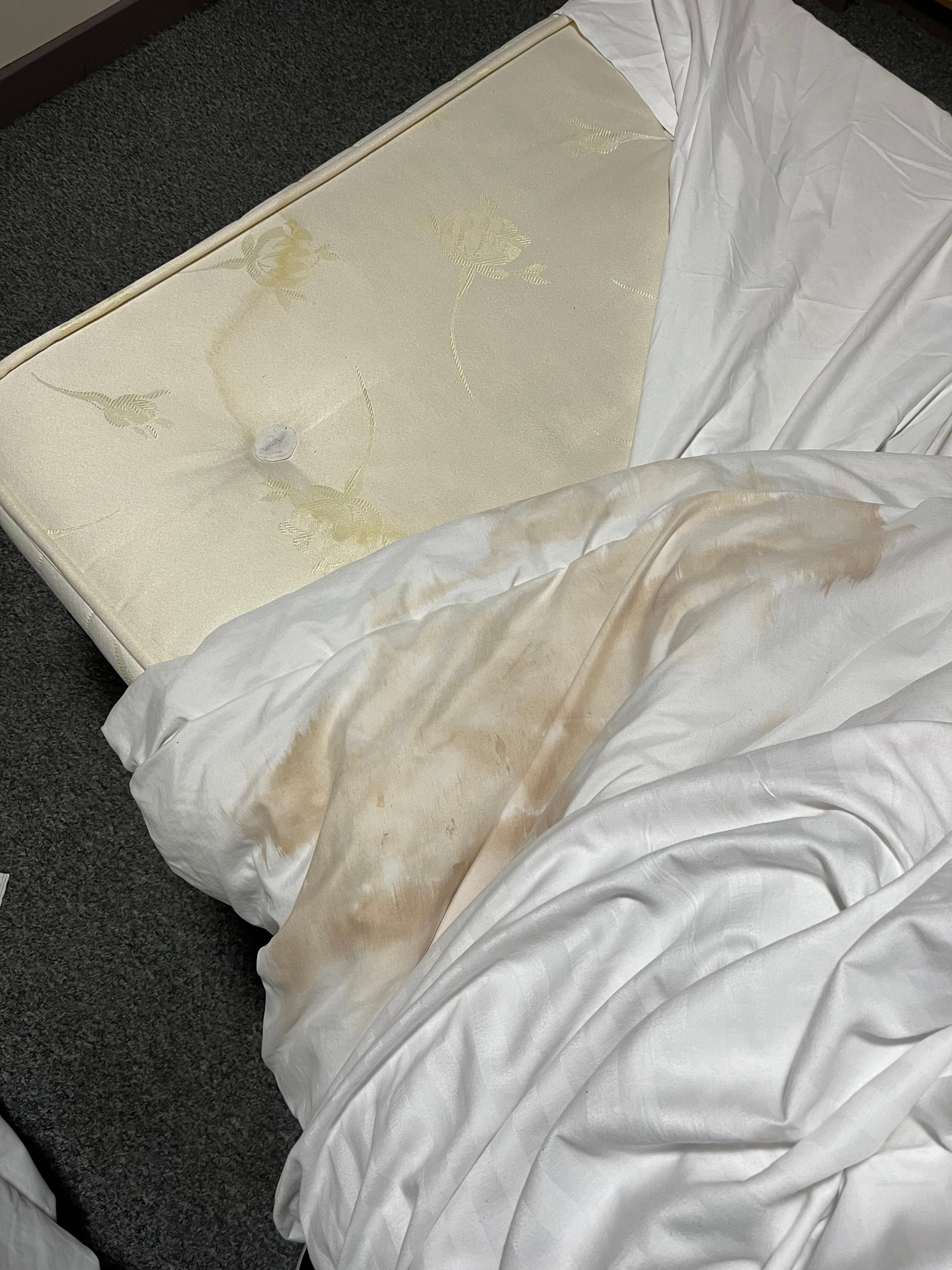 Bedding 