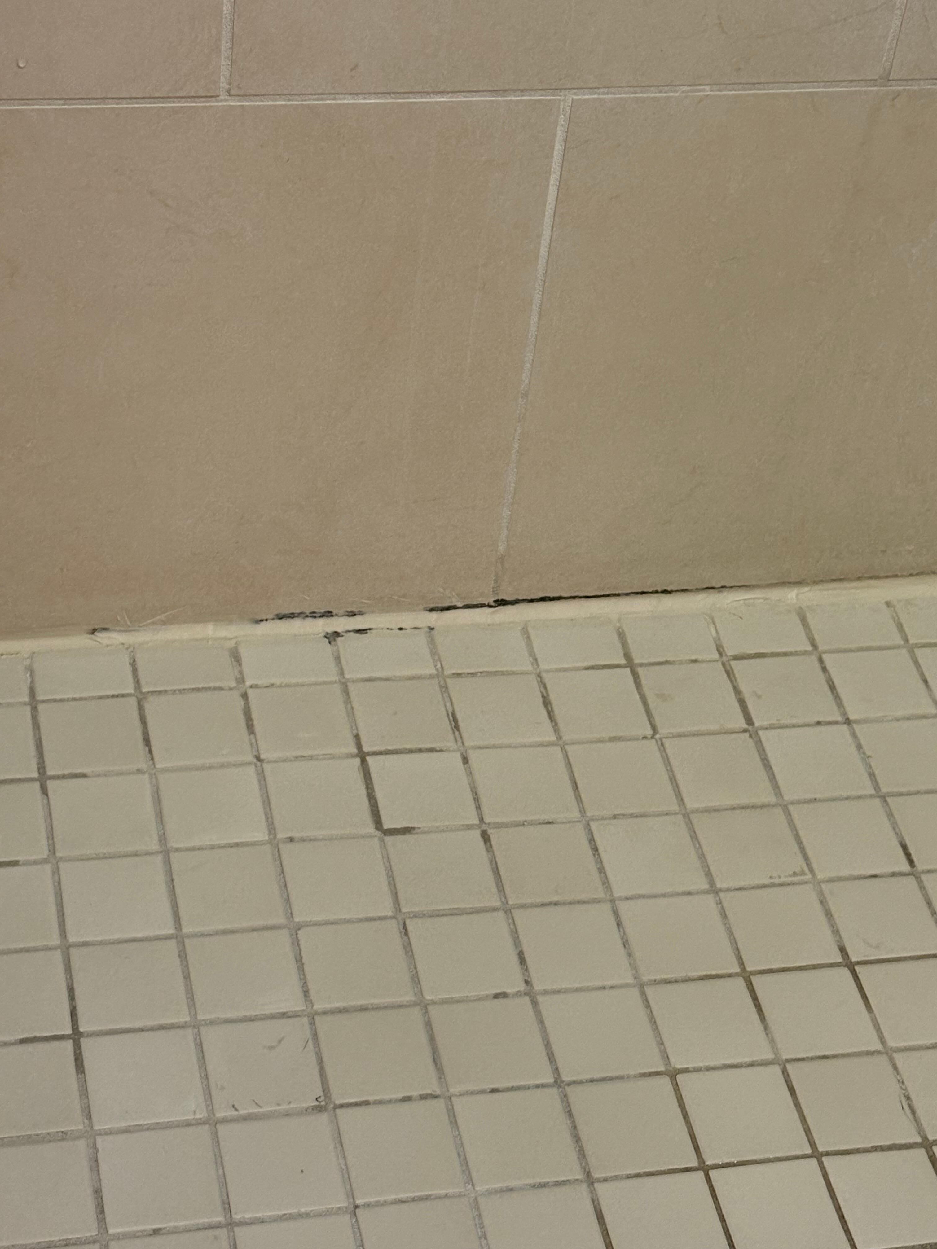Moldy showers