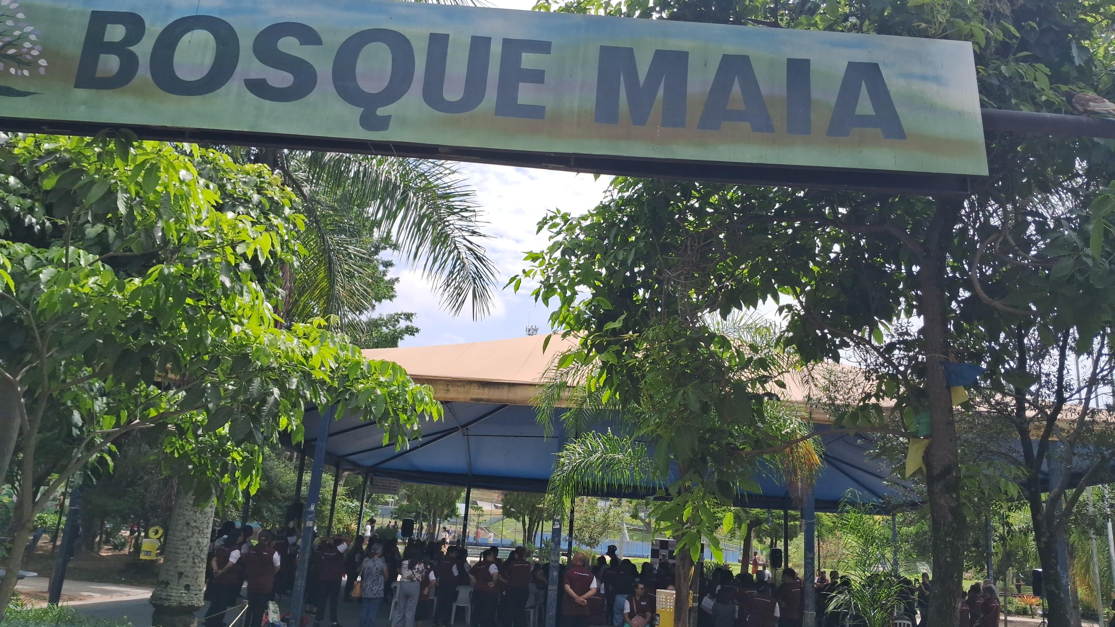 Não tenho fotos no hotel. Mas recomendo conhecer o Bosque Maia, que fica a cerca de 2 km do hotel