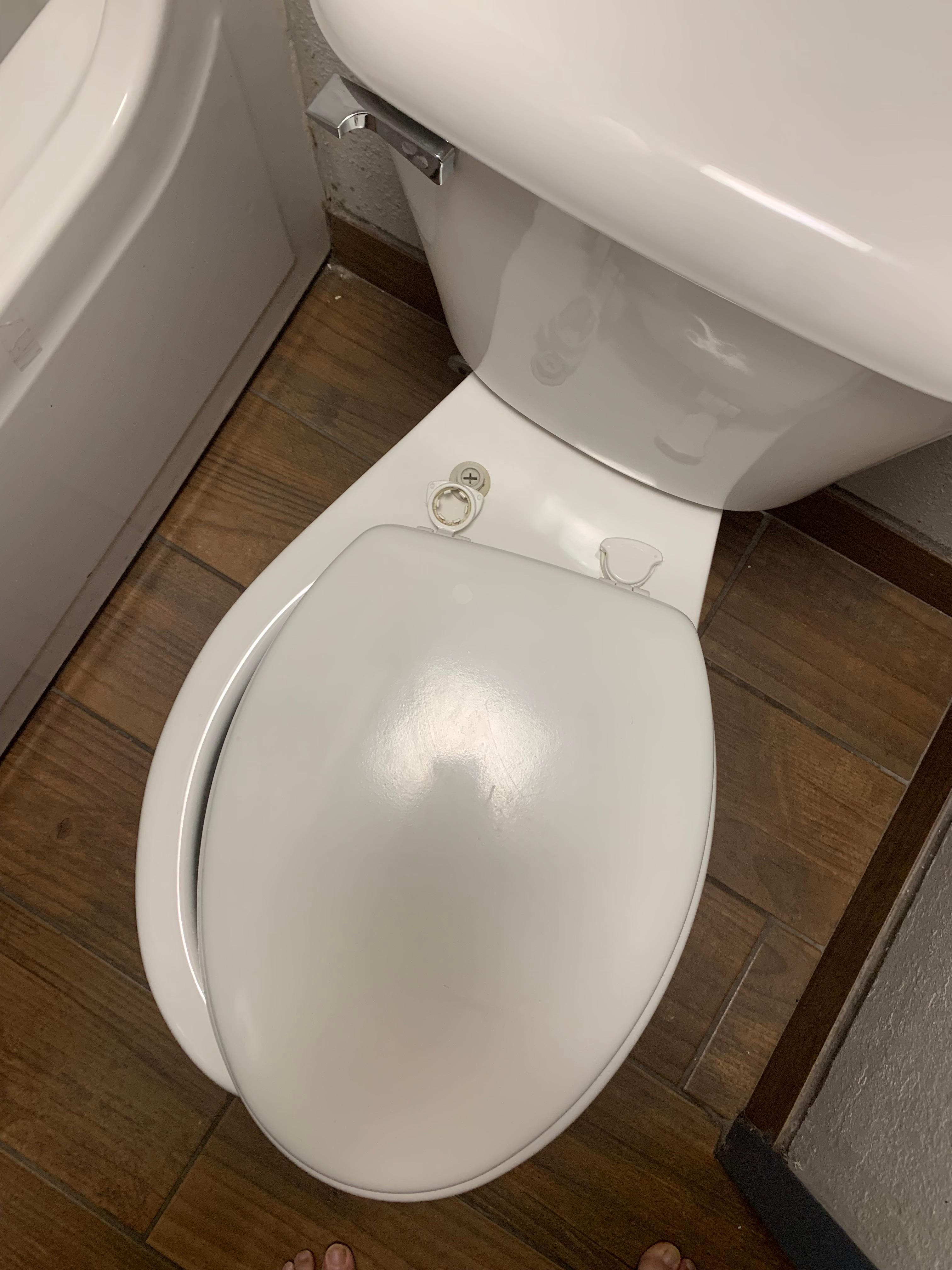 Broken toilet seat
