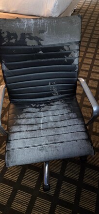 The desk chair. I was hoping to get some work done while I was there.