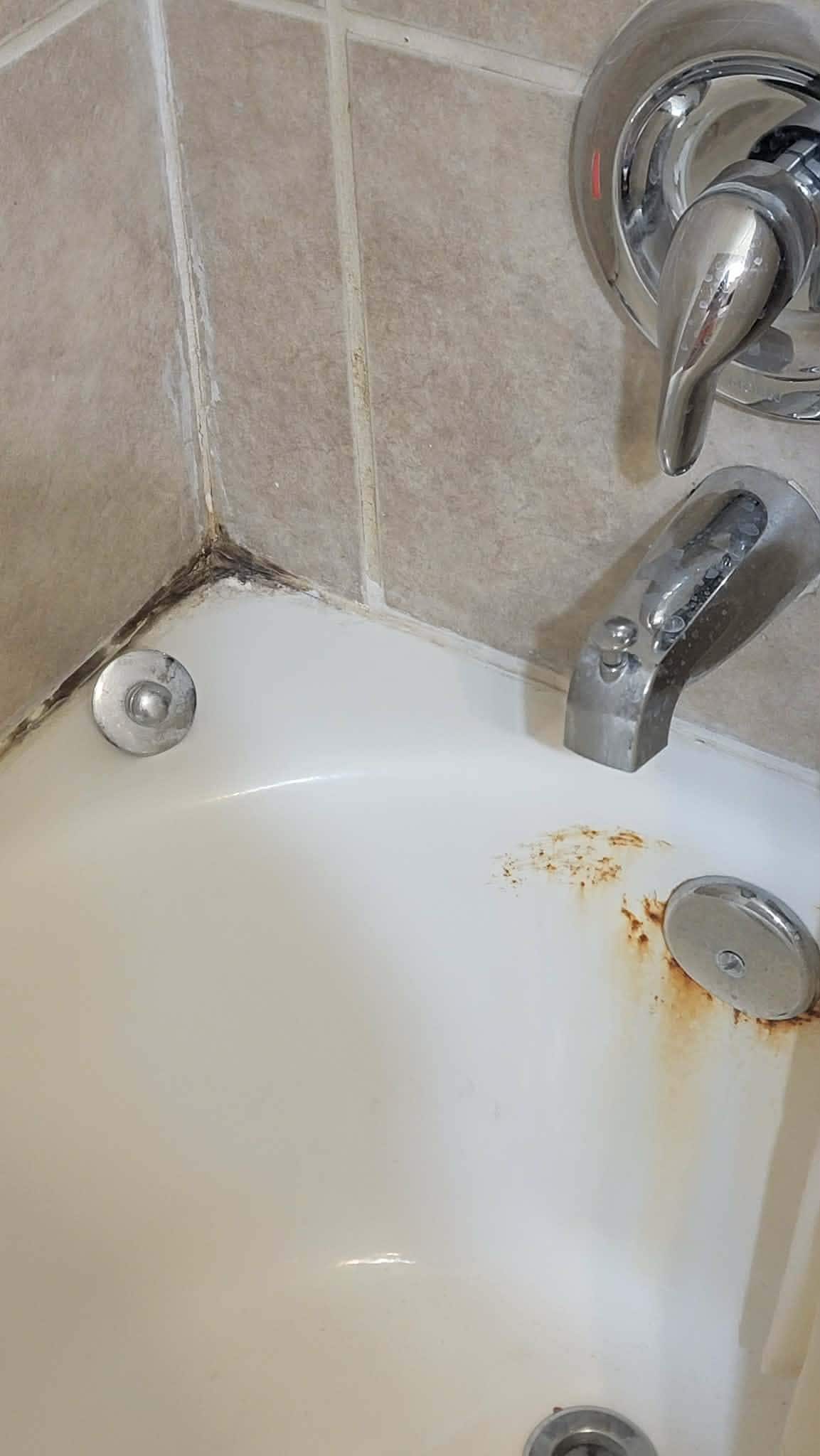 Looks like black mold around the tube along with a lot of rust. 