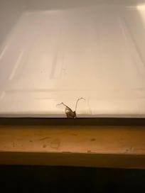 Dirty fridge with cracks