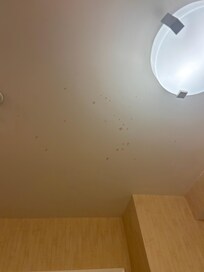 Stains on bathroom ceiling